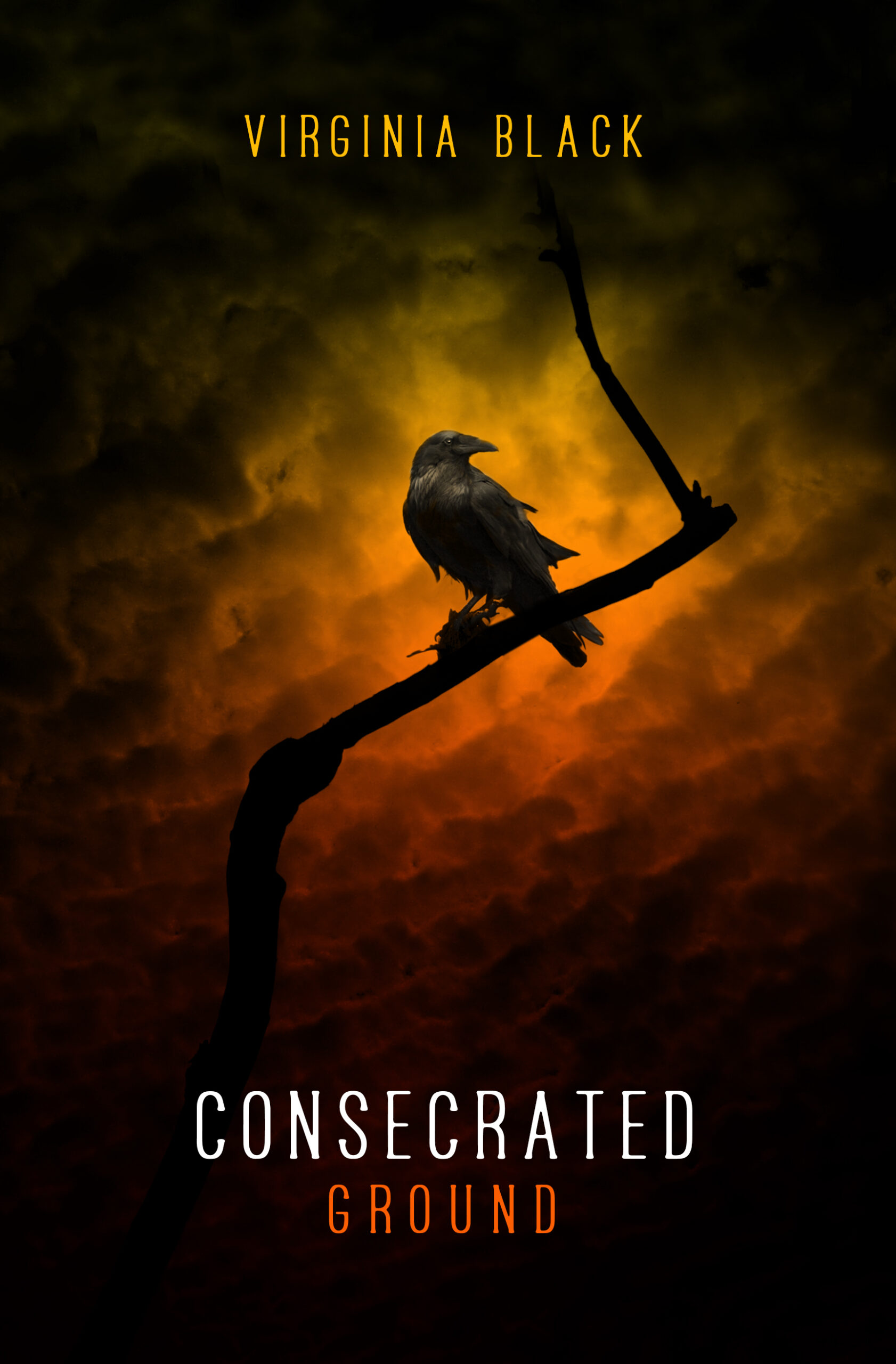 CONSECRATED GROUND – Virginia Black Writes